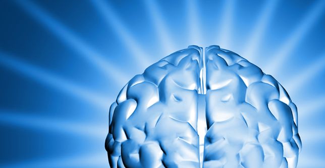 A Map of the Human Brain, Brought to You By Obama