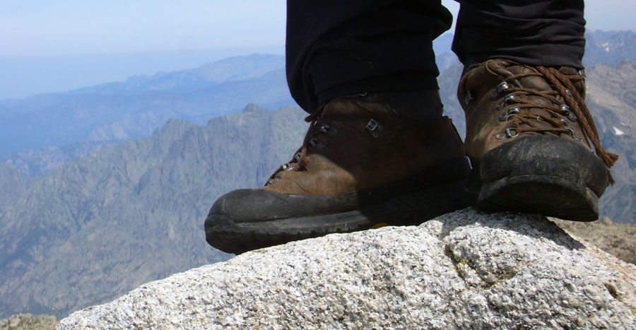 Flight of the Frenchies: Your Sunday Inspiration