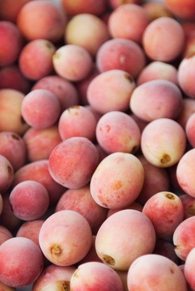 Healthy Recipes That'll Keep You Hydrated During Summer