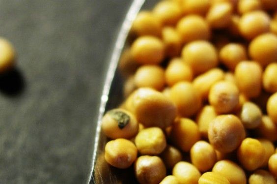 The Ultimate Guide to Spices