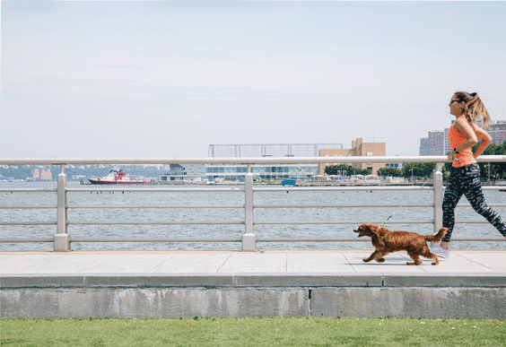 Bodyweight Exercises: How to Work Out With Your Dog