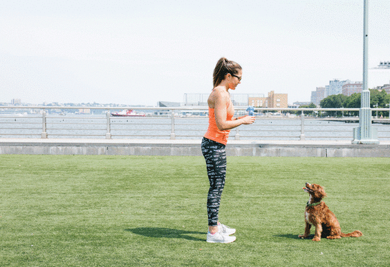Bodyweight Exercises: How to Work Out With Your Dog