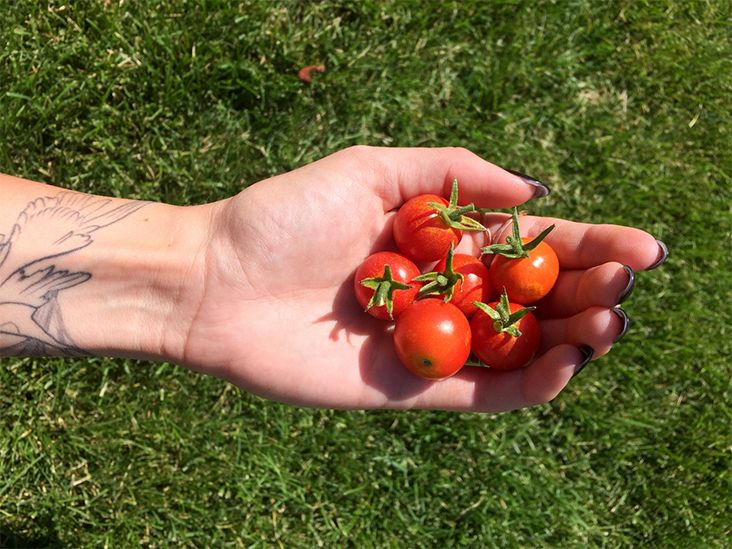 What Tomatoes — and Lycopene — Can Do for Your Skin