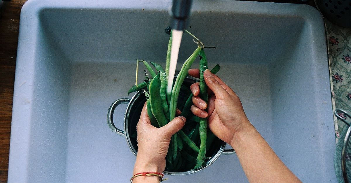 Vertical Gardening and Tips for Growing the Right Vegetables