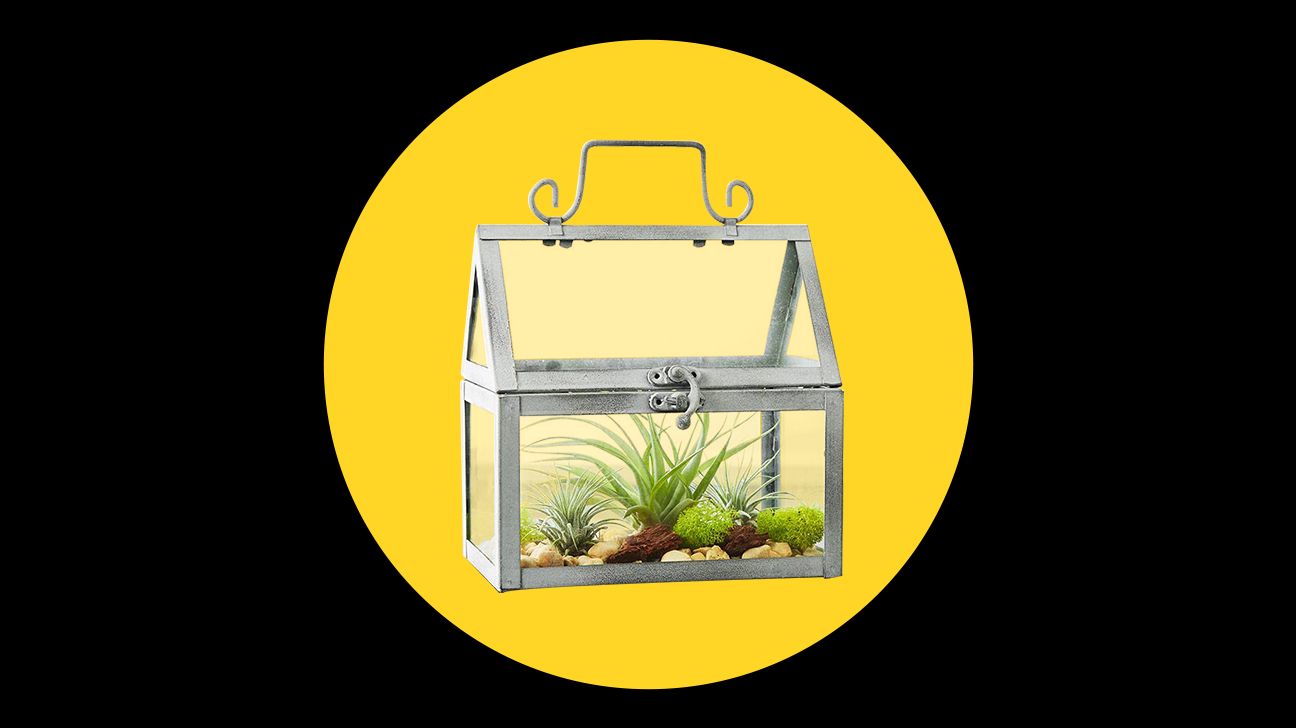 13 Plants Delivery Services That Order Straight to Your Door Step