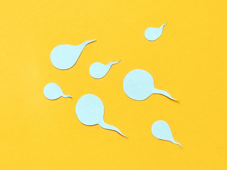 Normal Sperm Count: Range, Analysis Chart, and Pregnancy