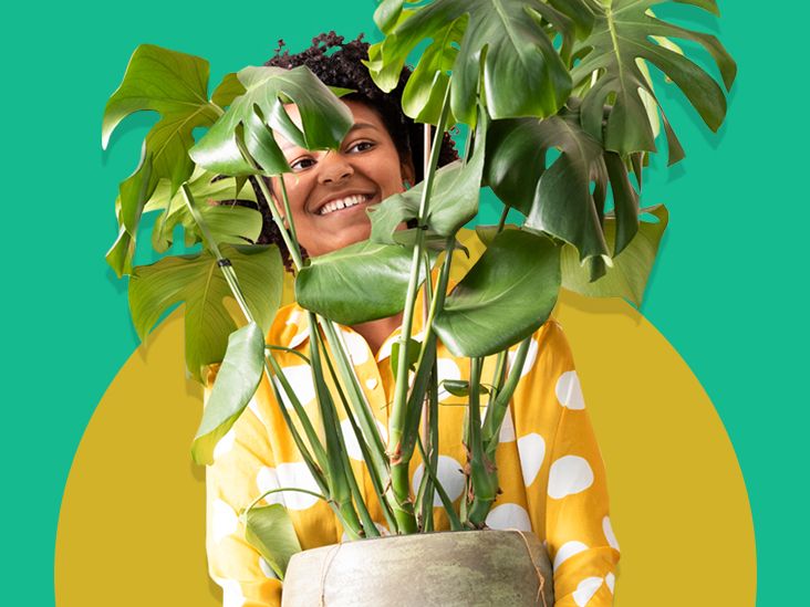 How Caring For Plants Helps Fight Loneliness