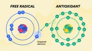 Radicals Radicals