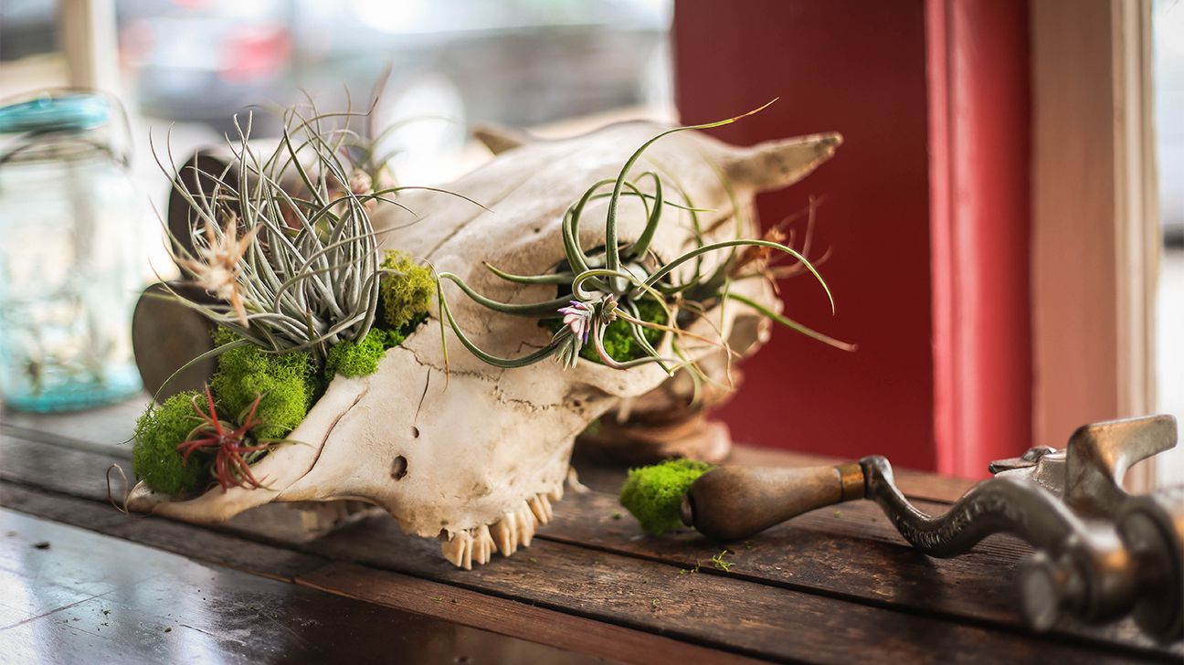 Rustic Design: How to Achieve the Woodsy Cabin Vibe of Your Dreams