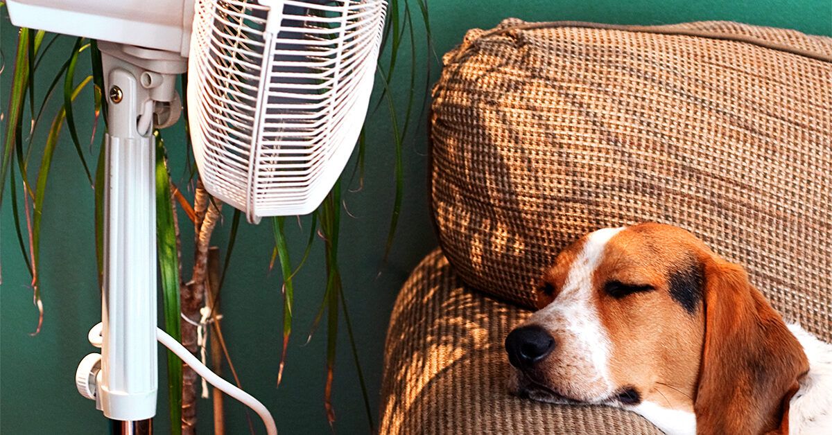 Napping Is the Biggest Sleep Care Trend of 2021