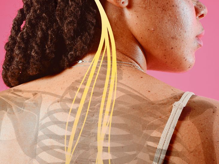 Vagus Nerve Anatomy: Functions, Location, and Potential Issues