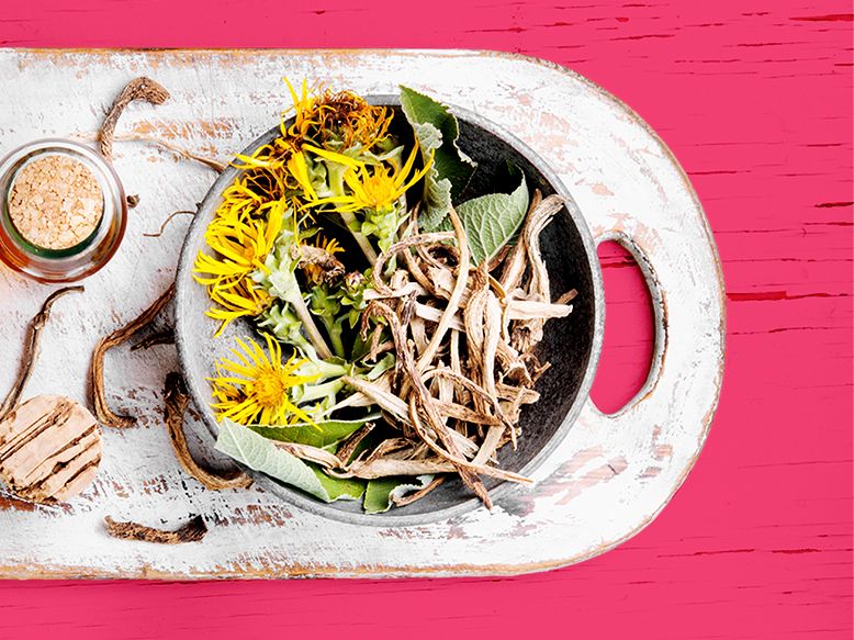 Elecampane Benefits: Health Perks, Dosage and Risks Explained