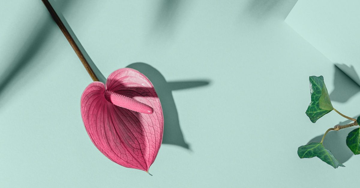 The Best BV Treatments | Greatist