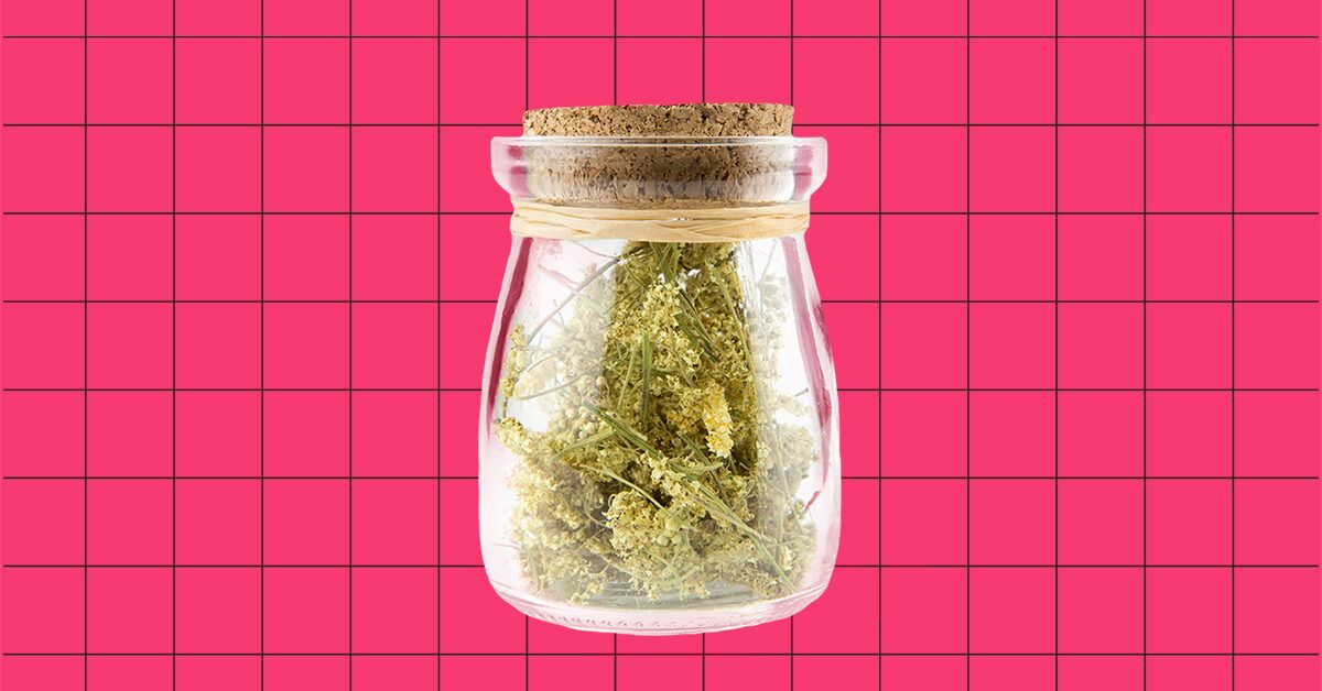 Meadowsweet Herb: Benefits, Uses, and Safety Tips