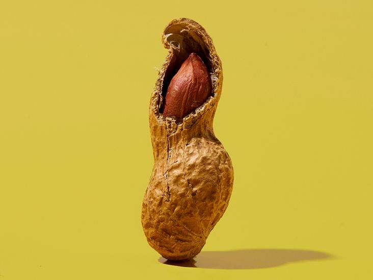 Healthy Fats 101: Nutrition Myths, Types, and High Fat Foods