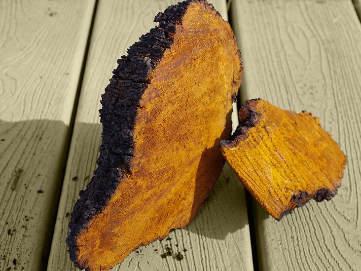 Chaga Benefits: 7 Potential Health Perks and Risks Explained