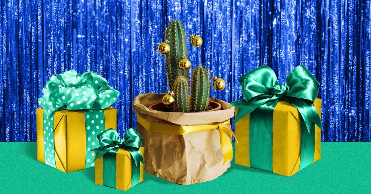 The 12 Best Plant Gift Ideas for 2022 | Greatist
