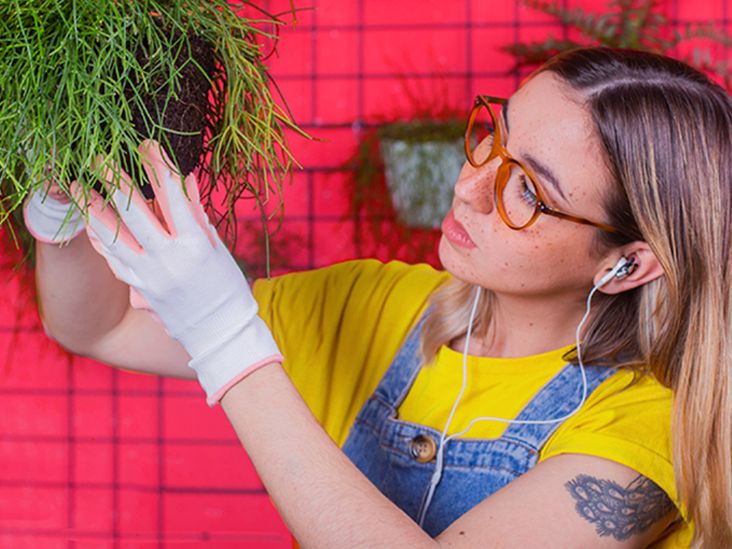 A Fall Yard Work Playlist to Get You Gardening