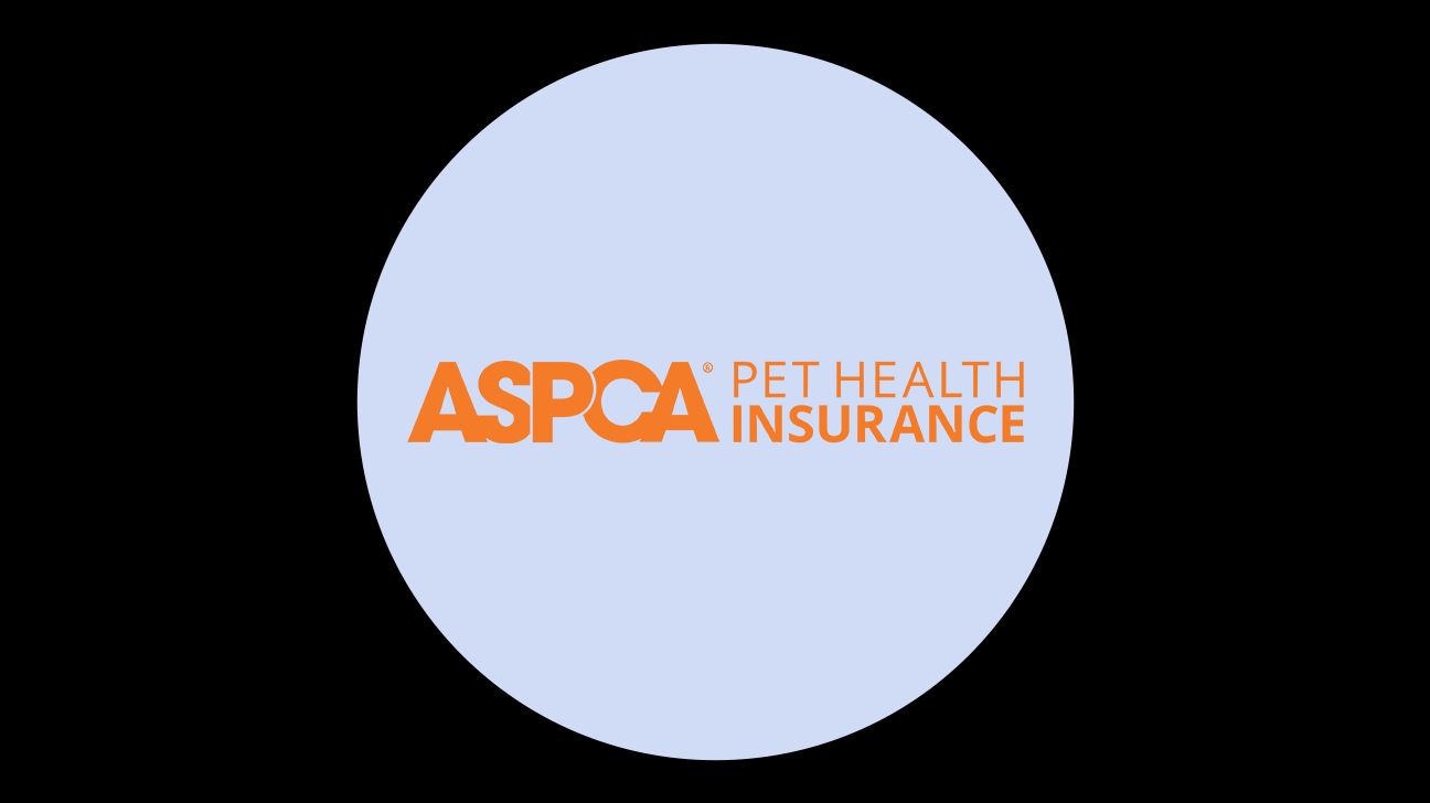 9 Best Pet Insurance Companies for 2022