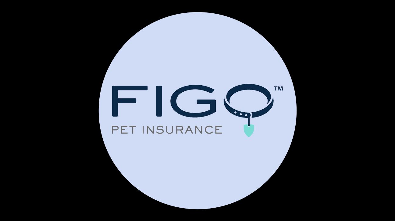 9 Best Pet Insurance Companies for 2022
