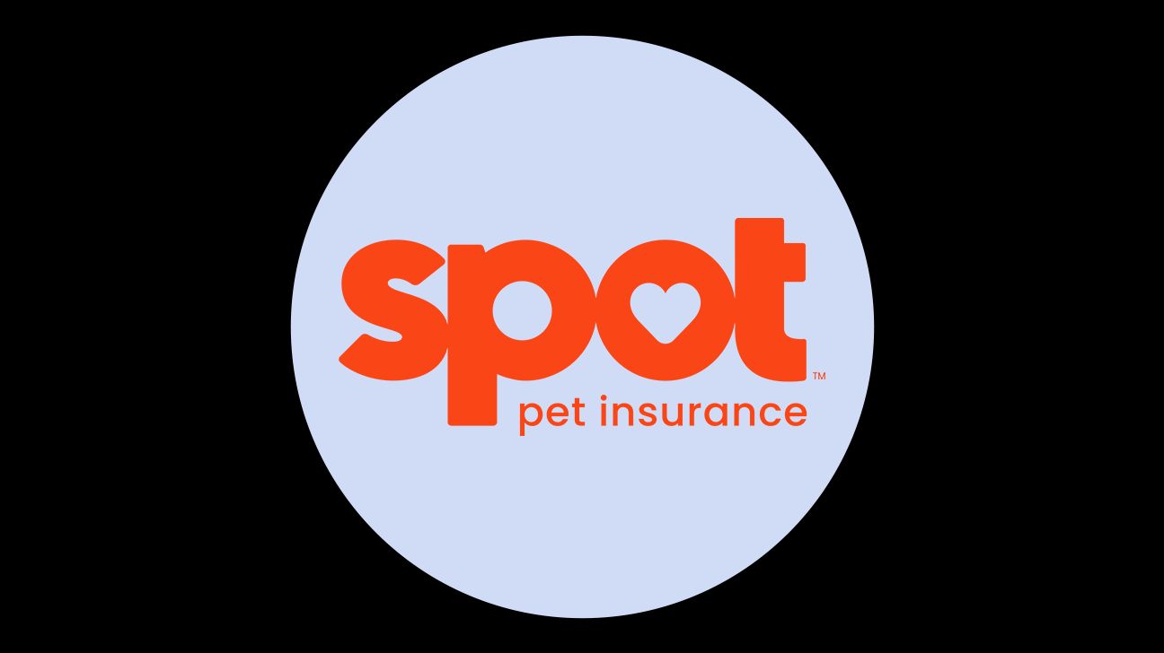 9 Best Pet Insurance Companies for 2022