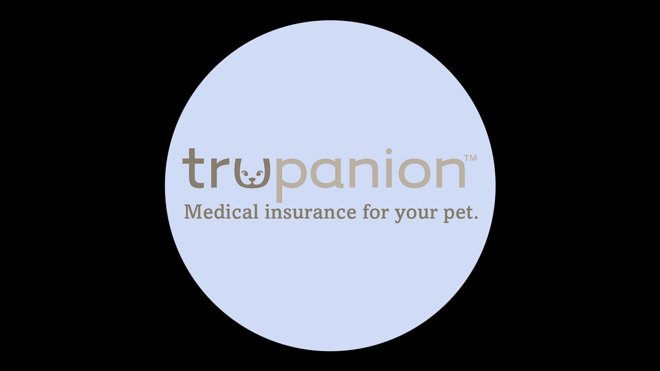 9 Best Pet Insurance Companies for 2022
