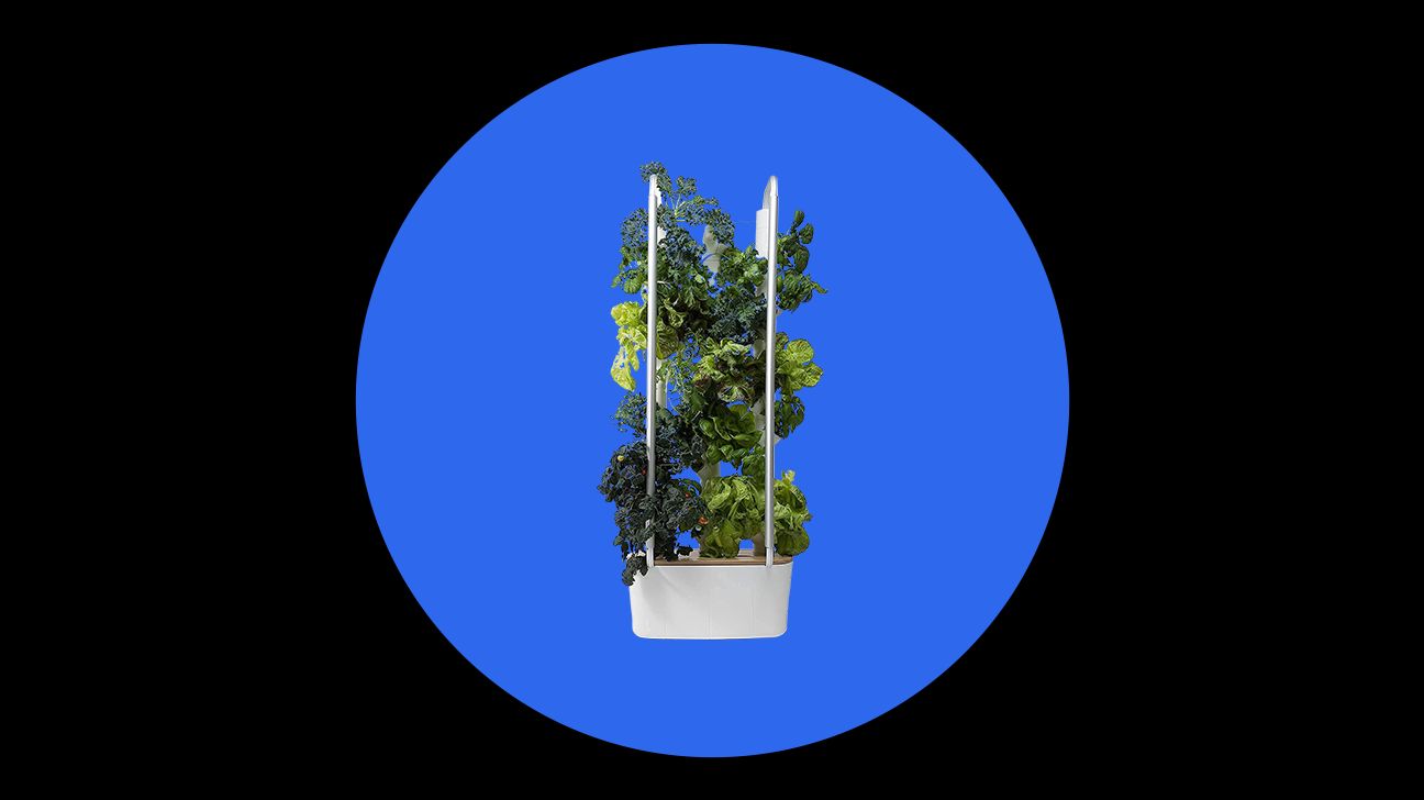 Indoor Garden Kit 101: Info and Recommendations