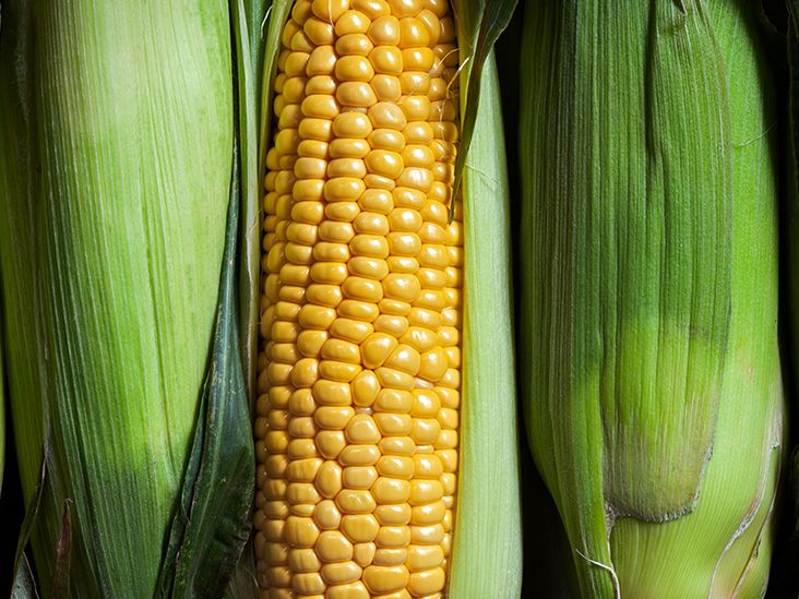 How Many Minutes Do You Boil Corn on the Cob? Expert Tips