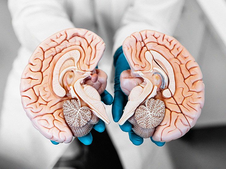 Complex partial seizures: Symptoms and types