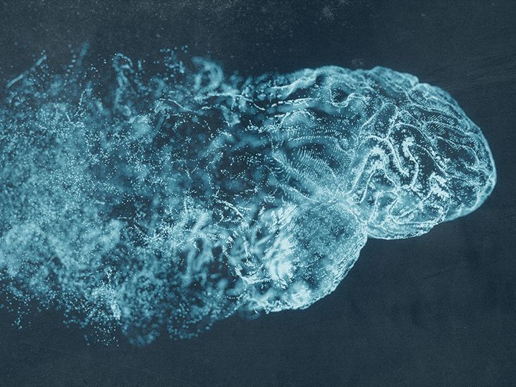 Acetylcholine: What it is, function, and links with health