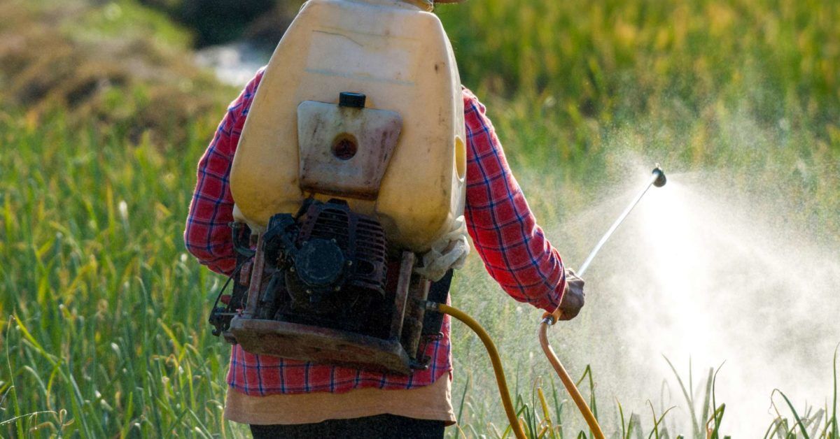 Pesticides in food: Safety, exposure, and more