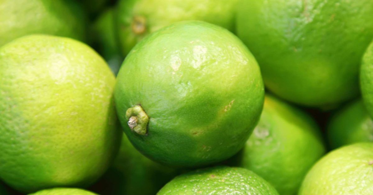Limes: Nutrition, benefits, and diet