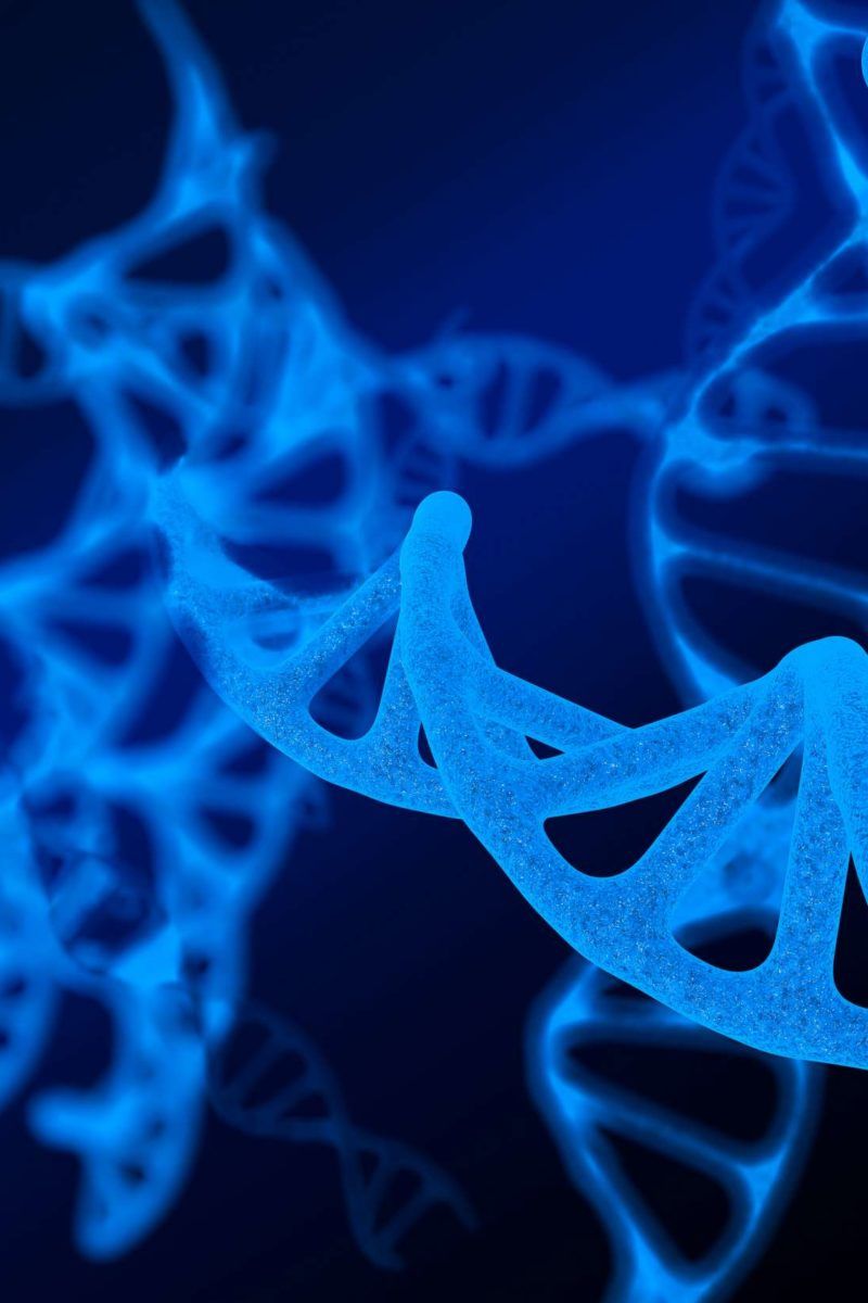 DiGeorge syndrome: Causes, symptoms, and treatment