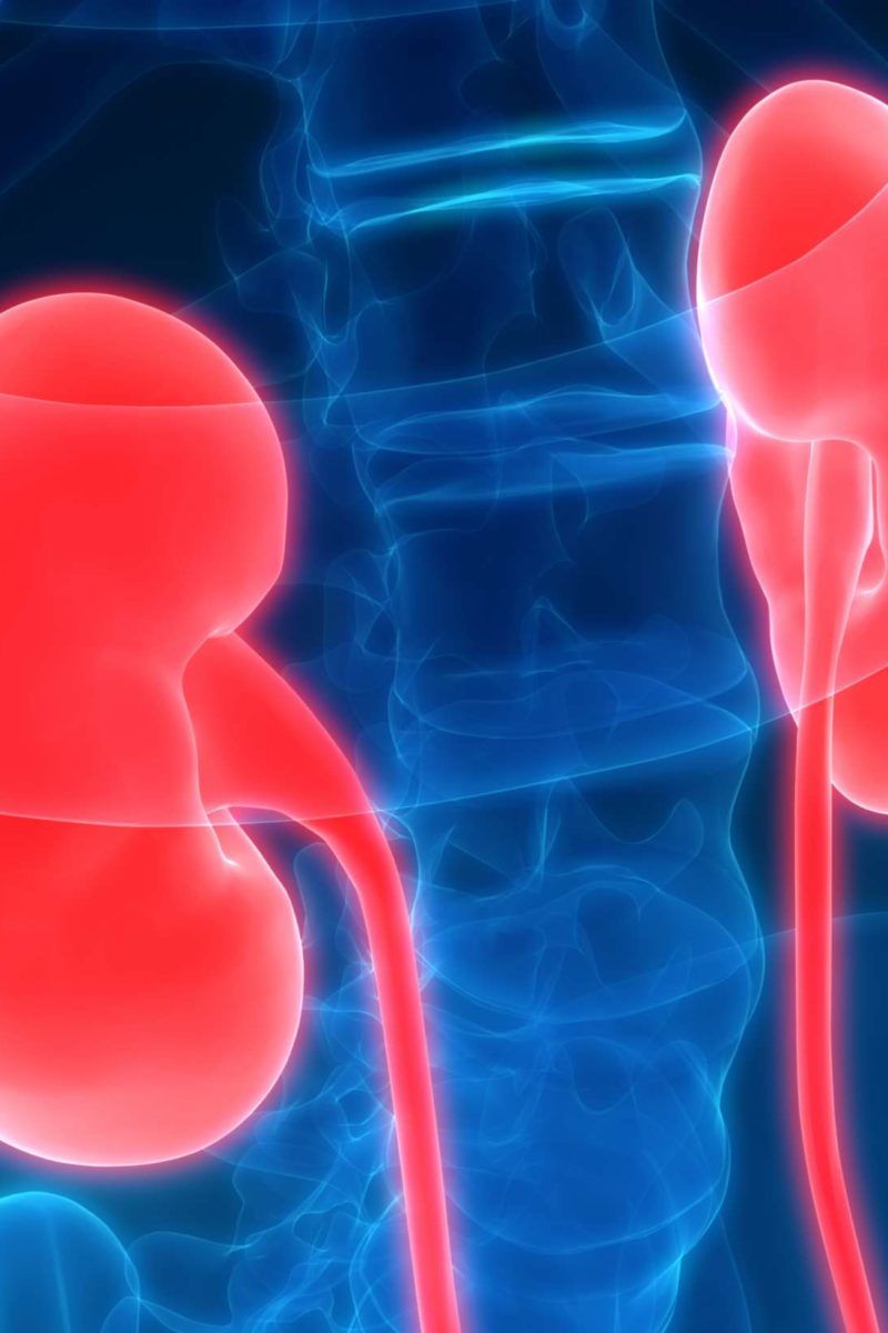 Nephritis: Types, causes, and symptoms