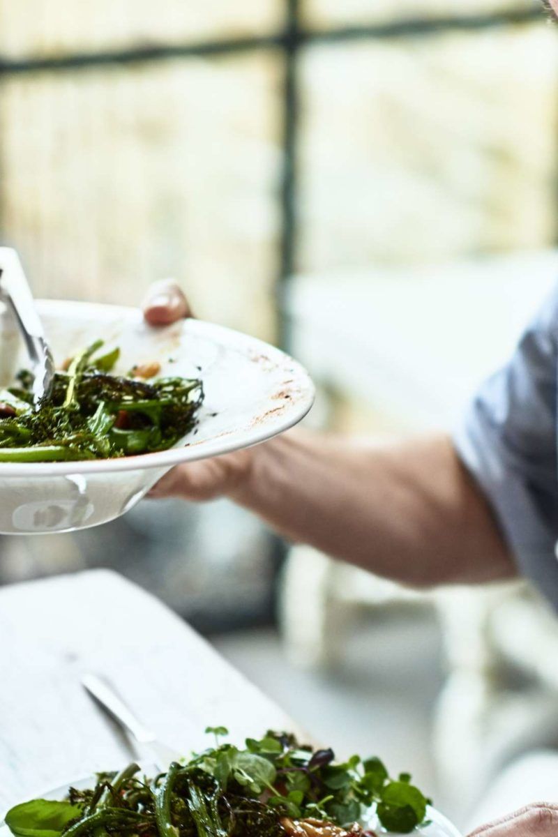 Cholesterol-free diet: Is it healthful? Common themes and other diets