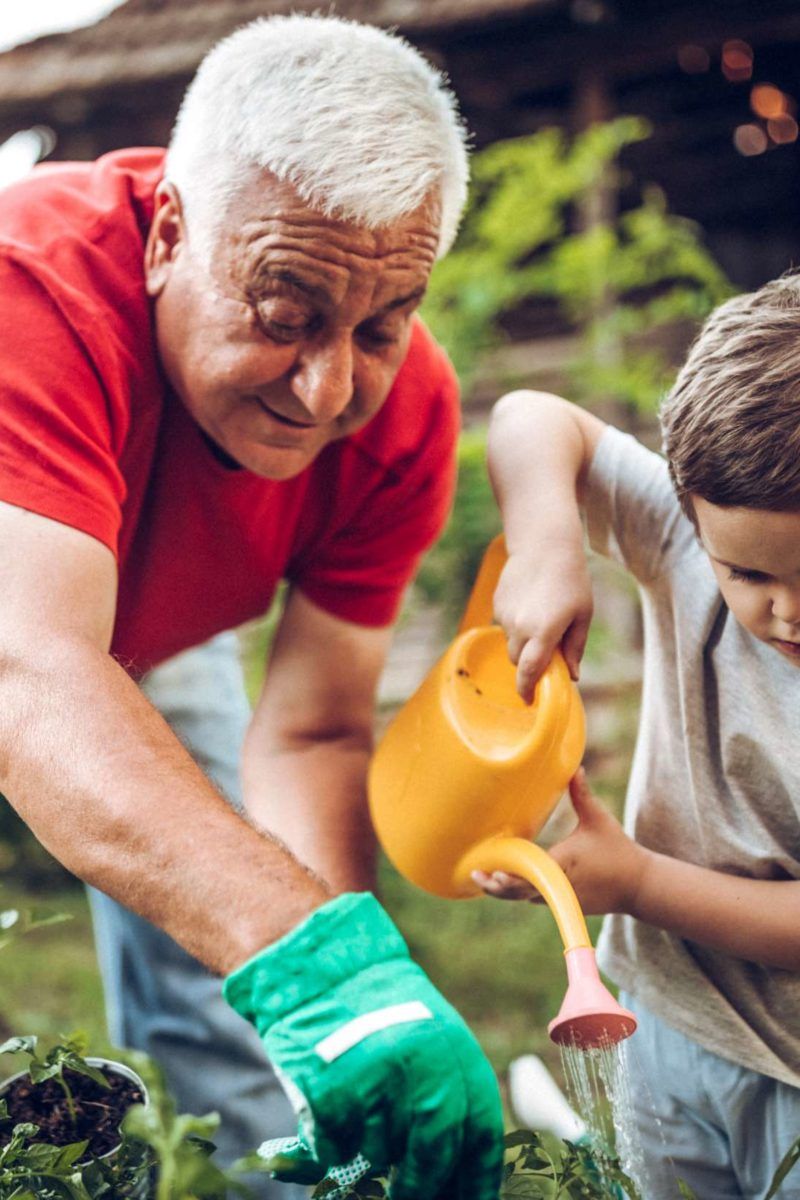 MS vs. ALS: Differences, causes, and treatment