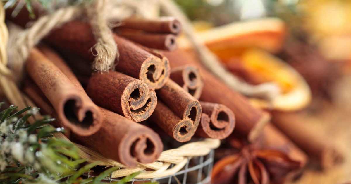 How cinnamon can help you to burn holiday fat