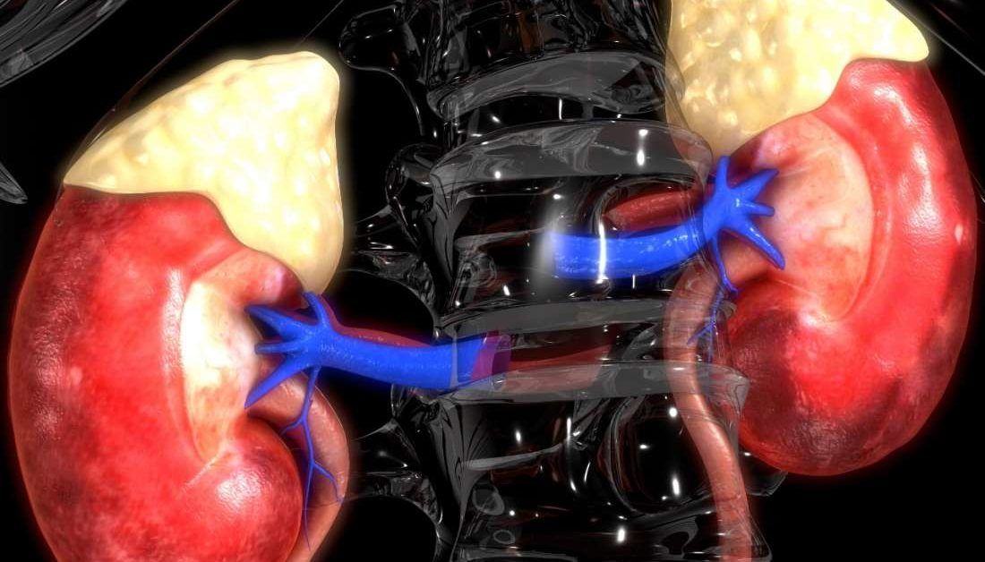 Hyperphosphatemia: Causes, symptoms, and treatment