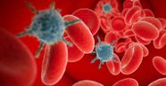 Viremia Definition Causes And Symptoms Viremia Definition Causes And Symptoms
