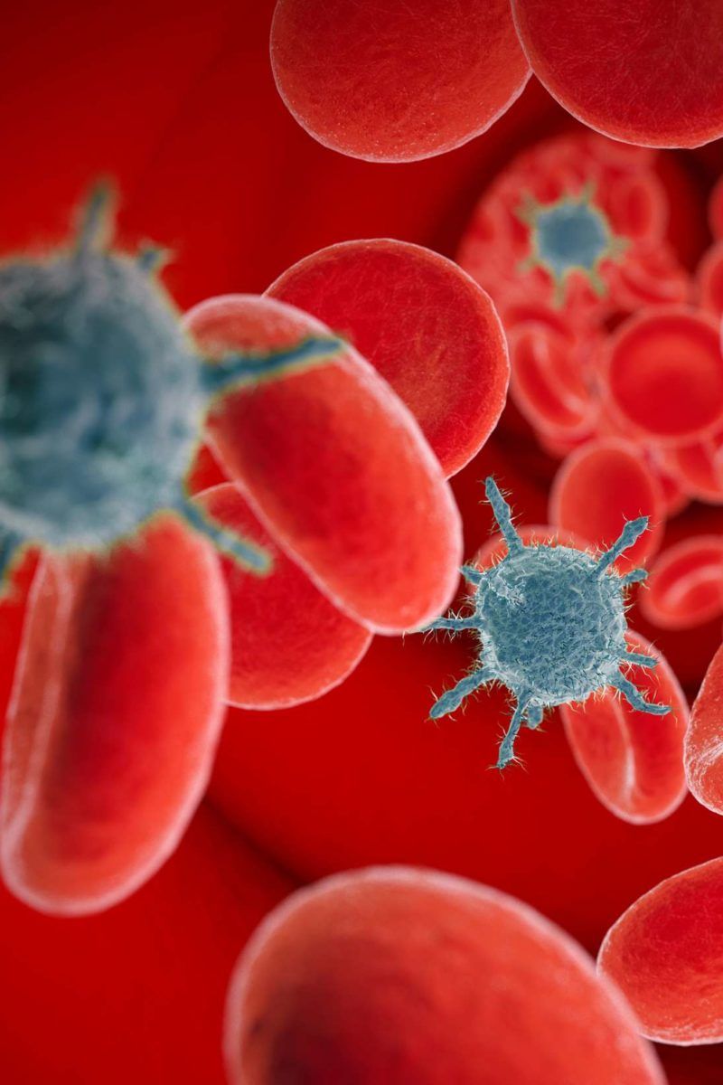 Viremia: Definition, causes, and symptoms