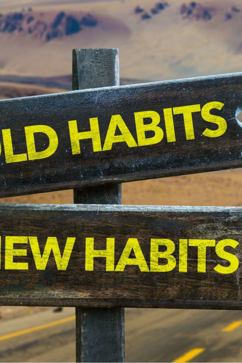 What happens in the brain when habits form?