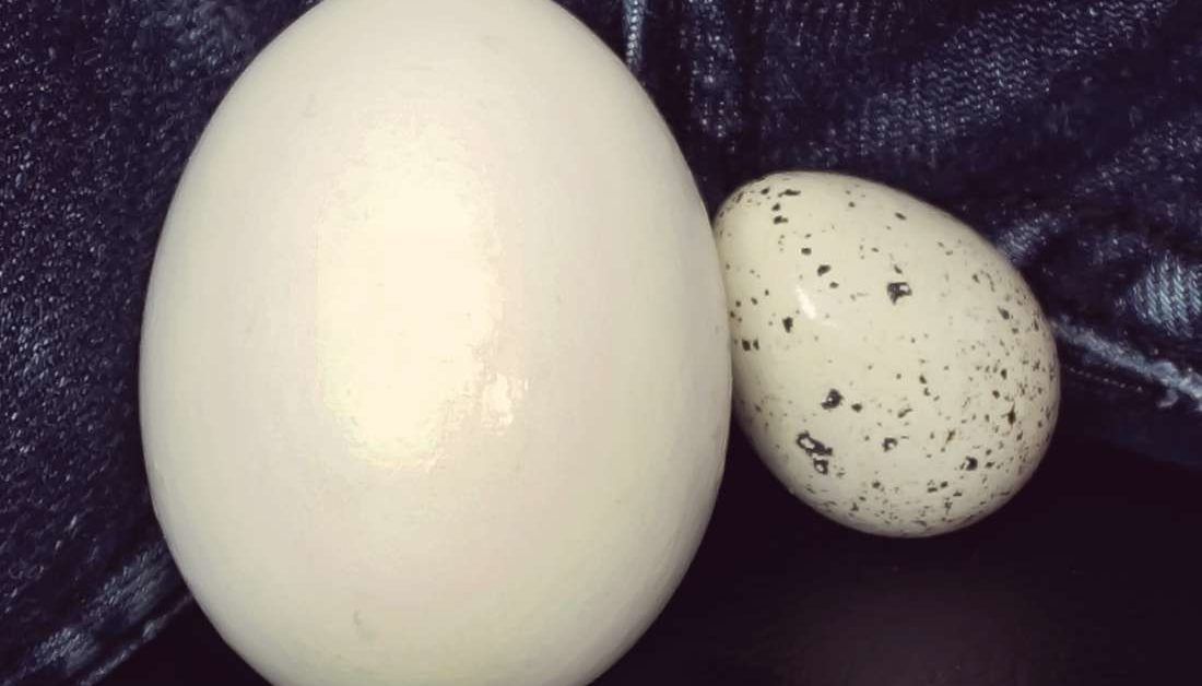 One testicle bigger than the other: Causes, risks, and self-exams