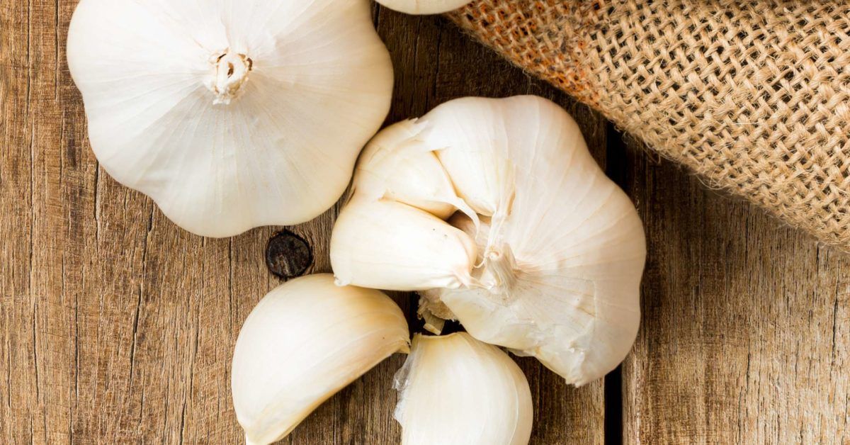 Garlic allergy: Symptoms and foods to avoid
