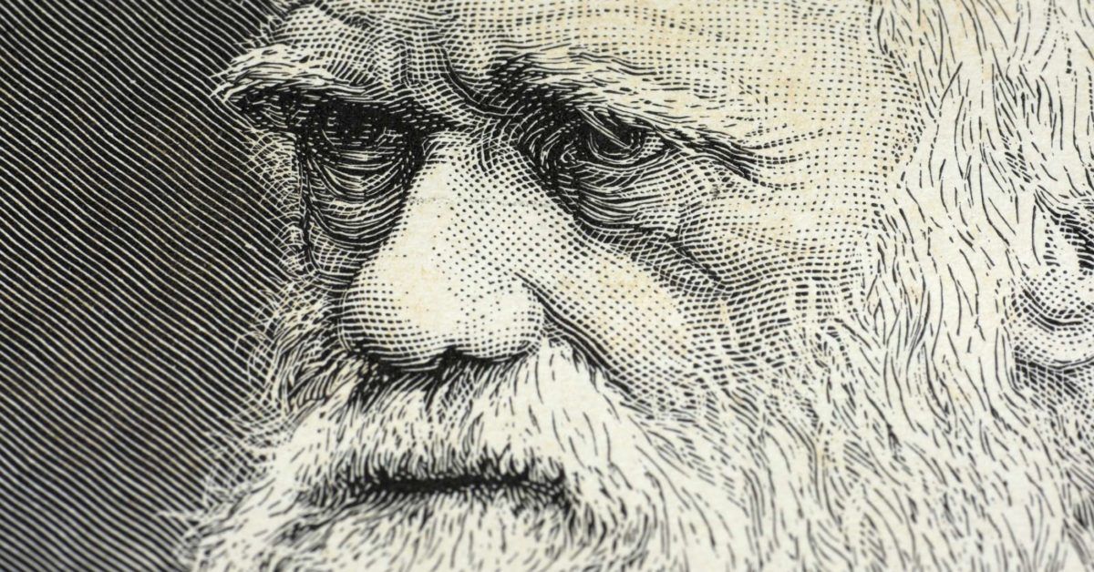 Is there any evidence that humans are still evolving?