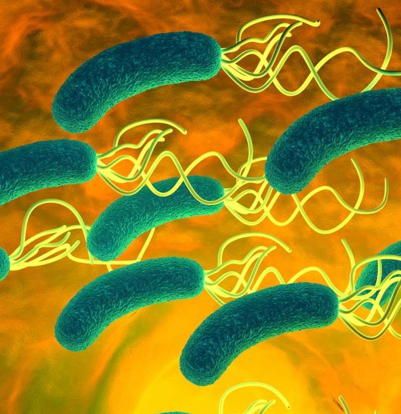 Intestinal metaplasia: Definition, symptoms, treatment, diet