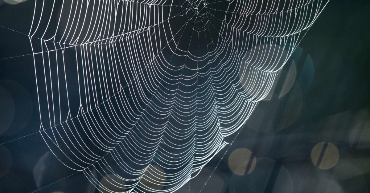 Using spider silk to boost our immune systems
