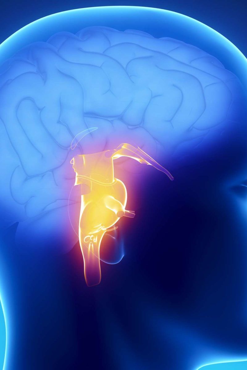 Brain stem stroke: Symptoms, recovery, and outlook