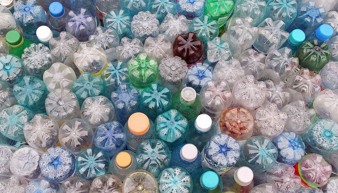 Why you probably have microplastics in your poop