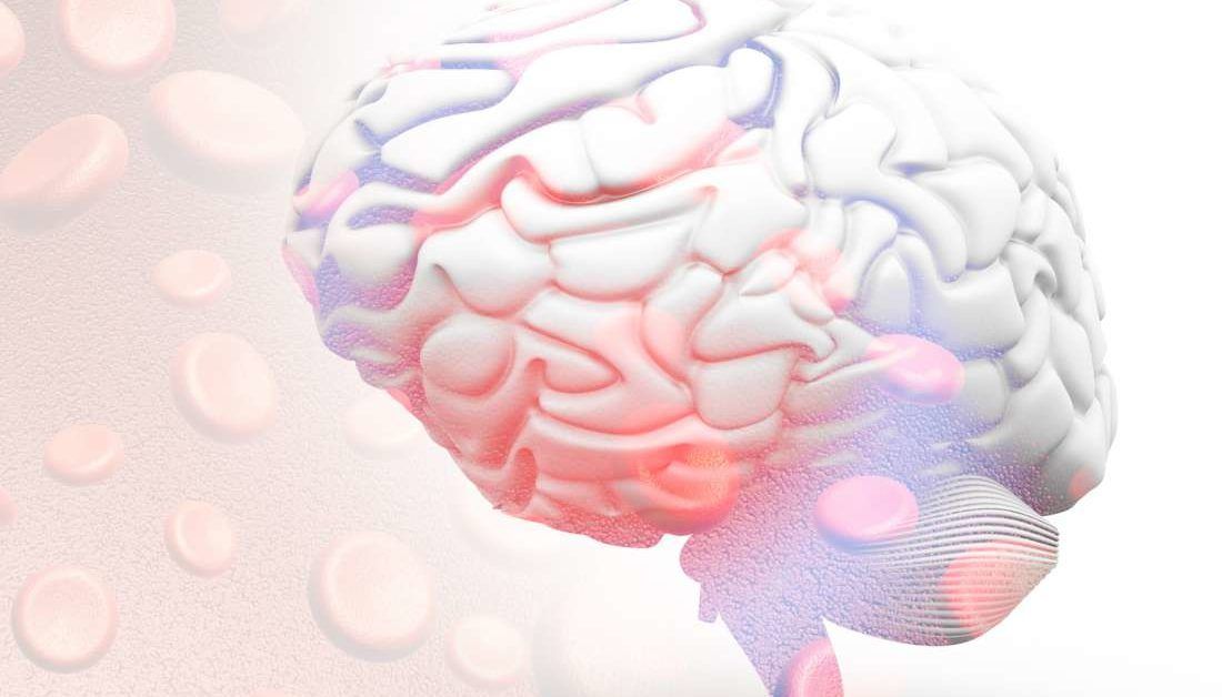Brain injury: New target may help eliminate inflammation