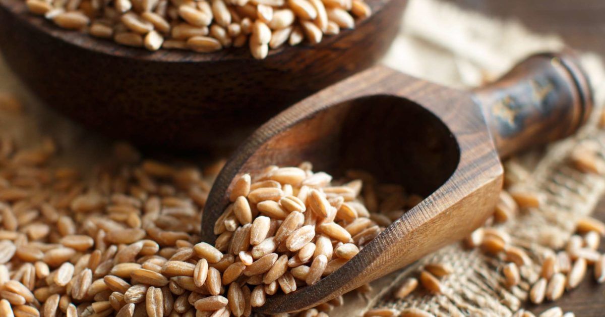 Spelt: Nutrition, health benefits, and how to use it